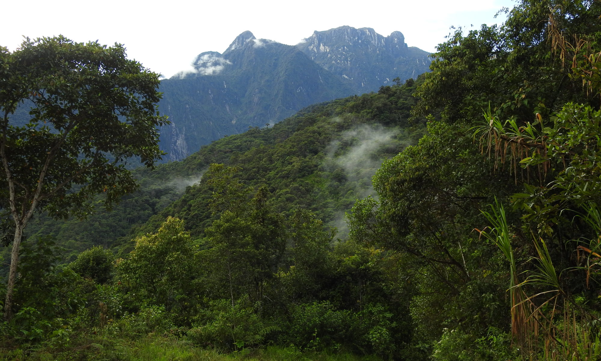 Montezuma Rainforest – Ecolodge and gateway to Tatamá National Natural Park